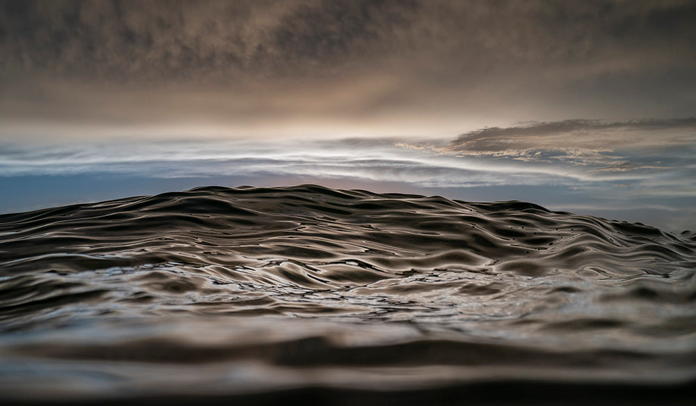 SAXON – AaronChang.com