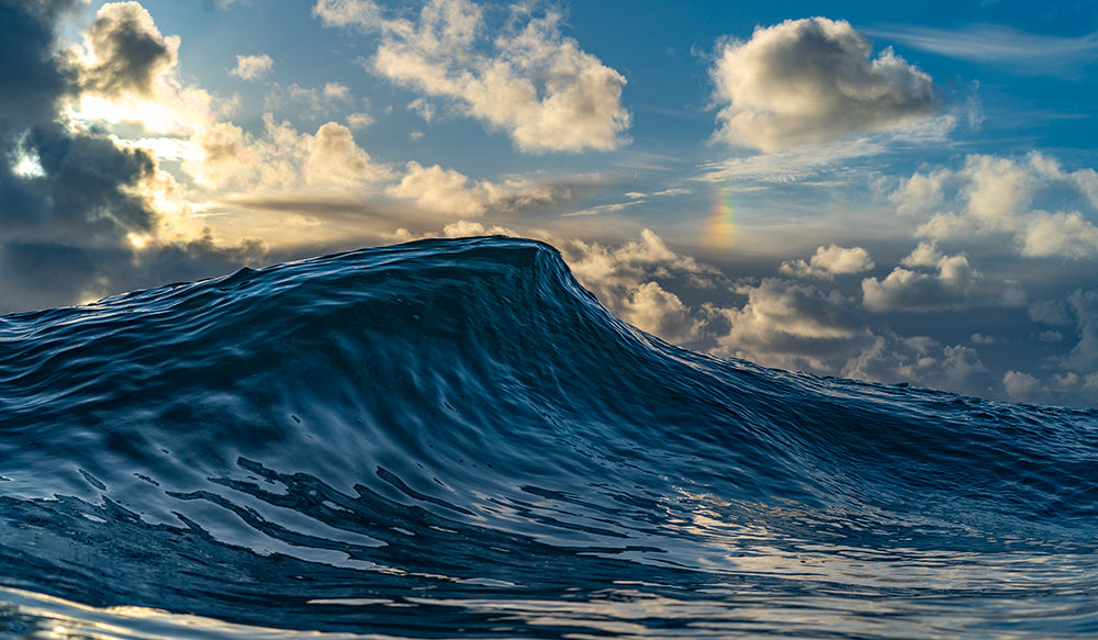 SAXON – AaronChang.com